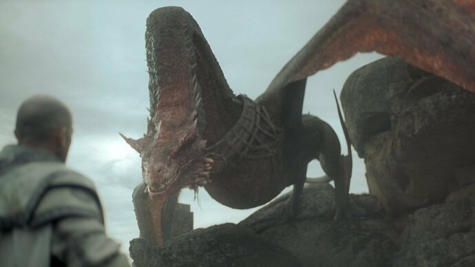 We Ranked The Google Docs Anonymous Animals