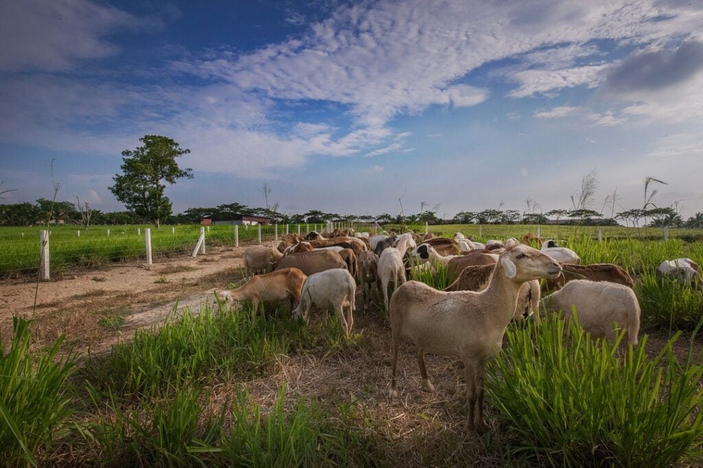 Guide To Kluang In Johor - Farm Stays, Cafes & Hiking Trails