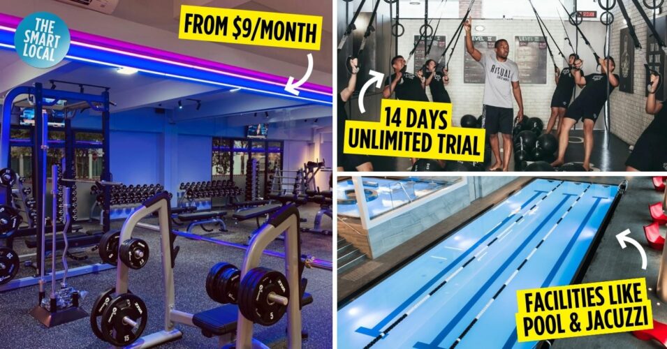8 Affordable Gym Packages & First-Timer Trials In SG [2024]