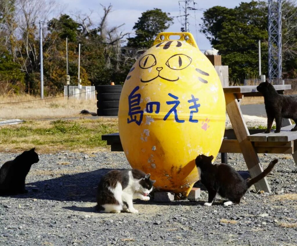 There’s A Cat Island In Japan And It's Every Bit As Cute As It Sounds