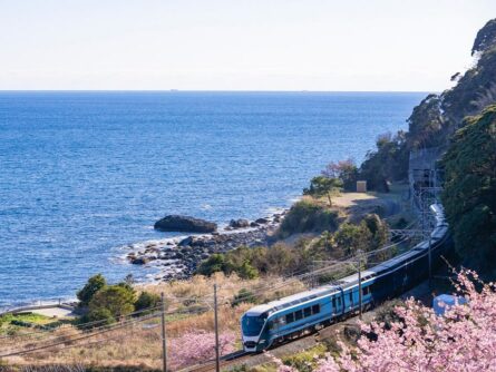 10 Best Scenic Train Rides In Japan