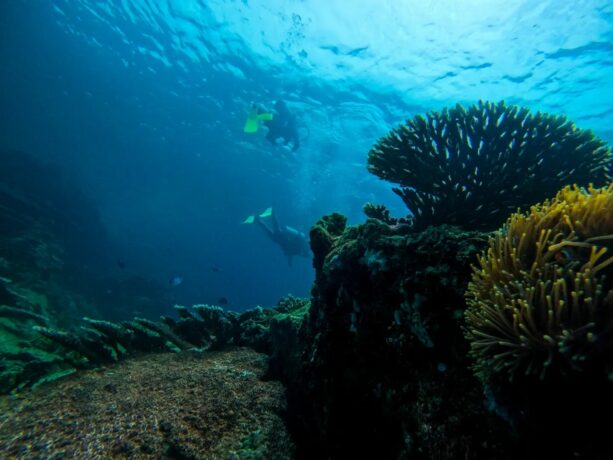 Singapore To Tioman Island - How To Travel By Car, Bus & Ferry