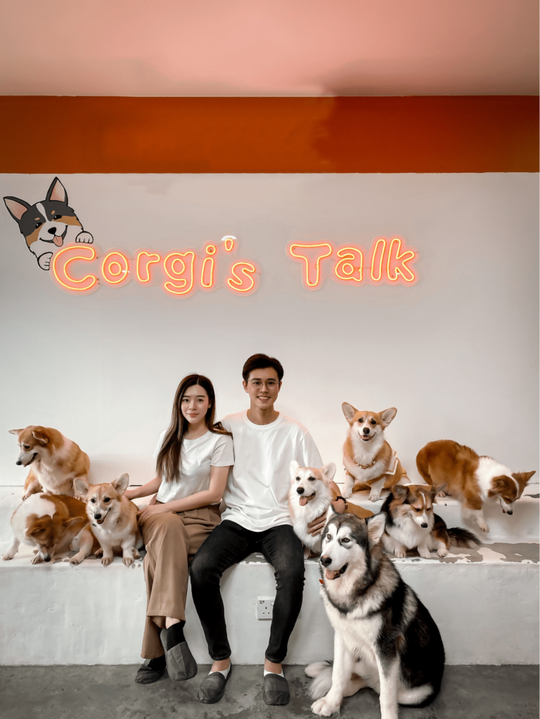 Corgi’s Talk Cafe Costs S$7/Pax, 20-Mins From Tuas Checkpoint