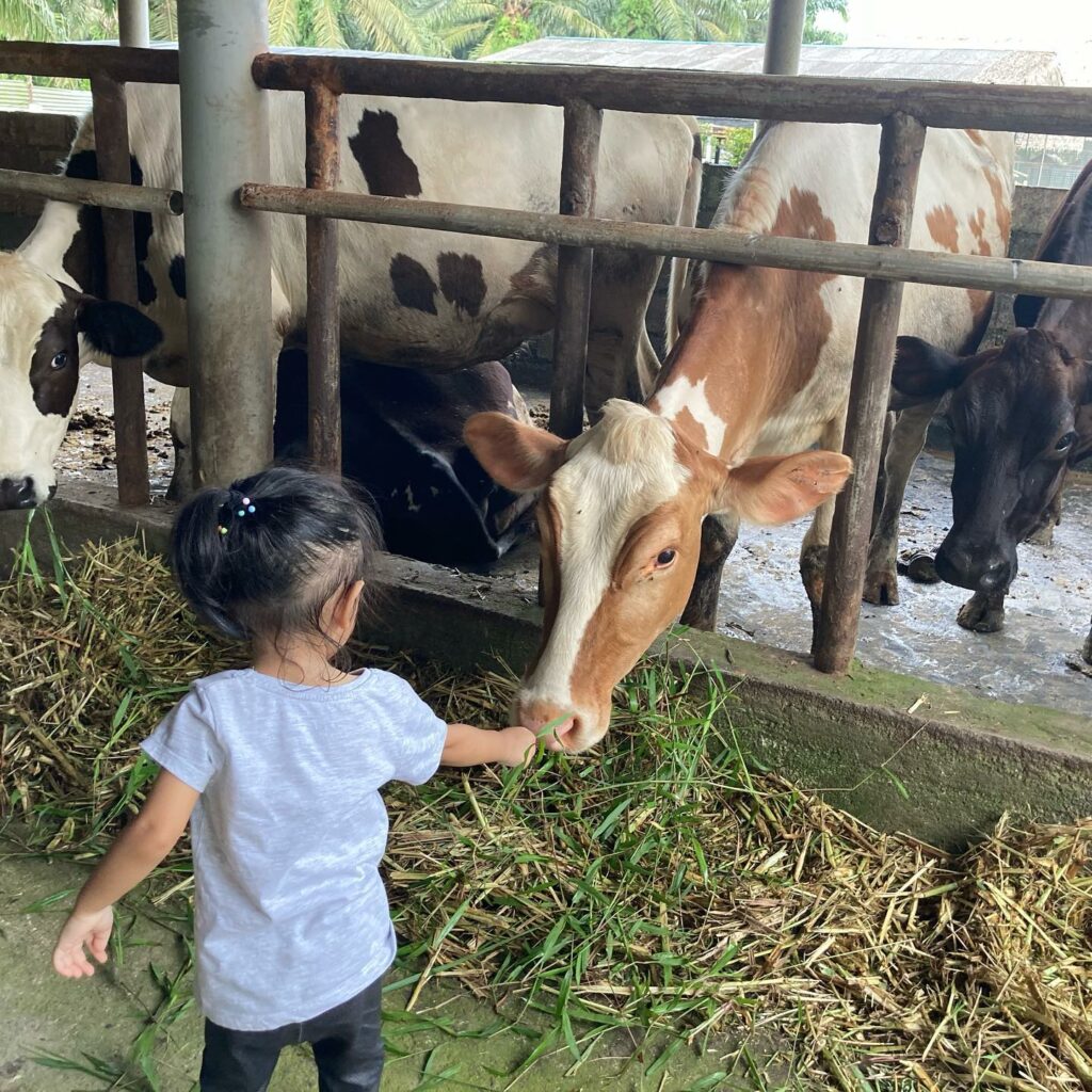 8 Relaxing Resorts In Johor Within 1.5 Hours Drive From SG