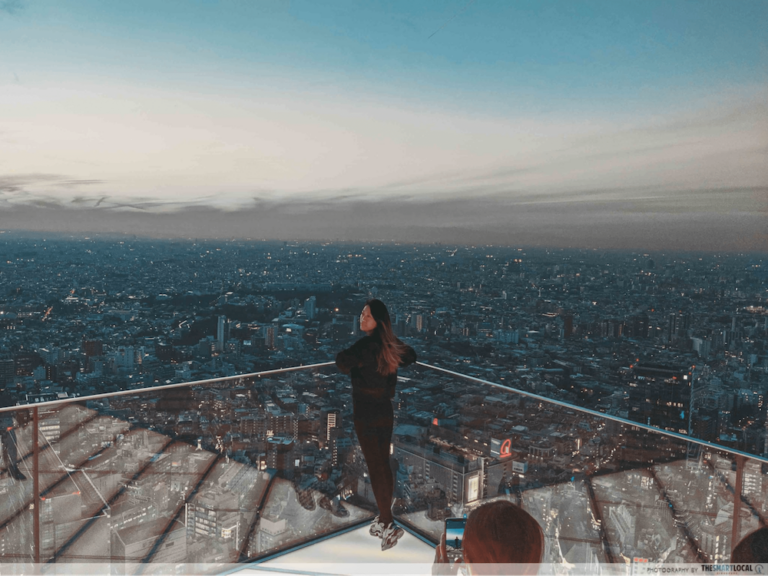 Air Japan: New Low-Cost Airline From Singapore To Tokyo