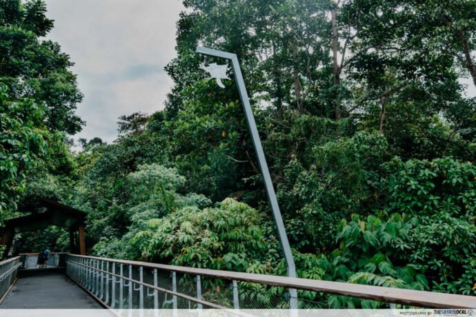 9 Things To Do At Rifle Range Nature Park