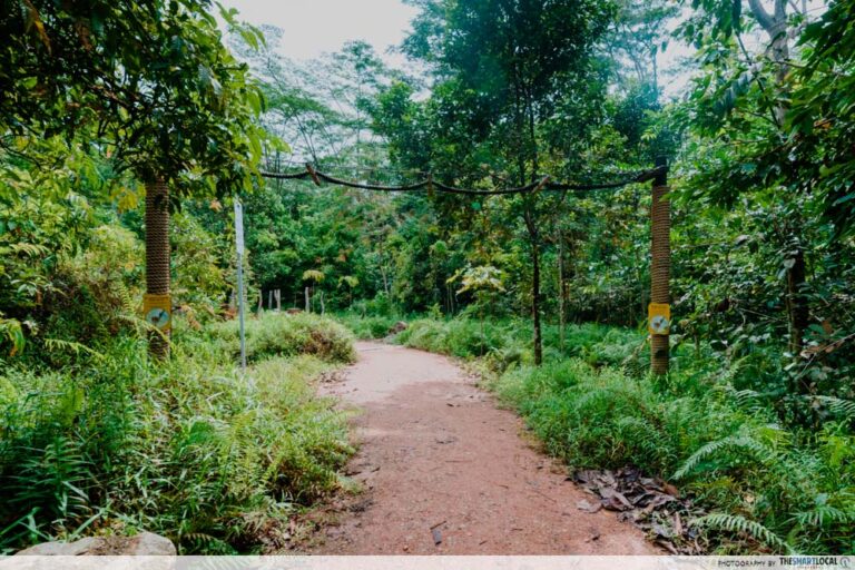 9 Things To Do At Rifle Range Nature Park