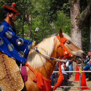 Best Times To Visit Japan Based On Seasons & Activities