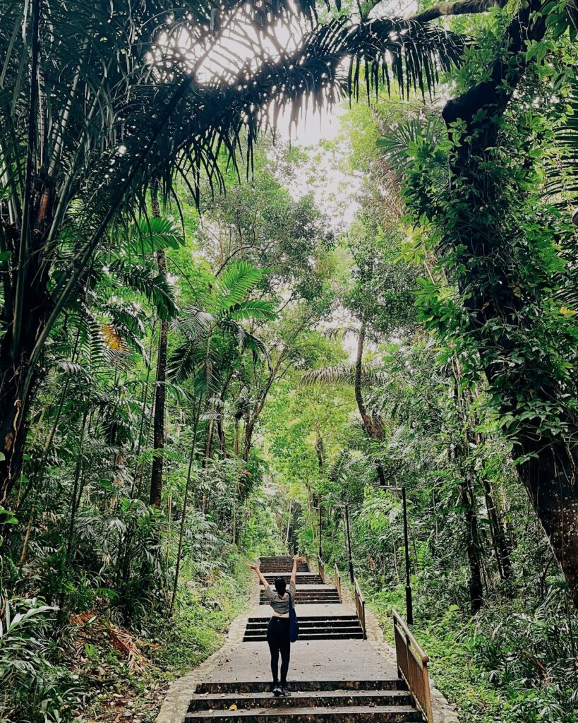 Marang Cemetery: Abandoned Cemetery At Mount Faber