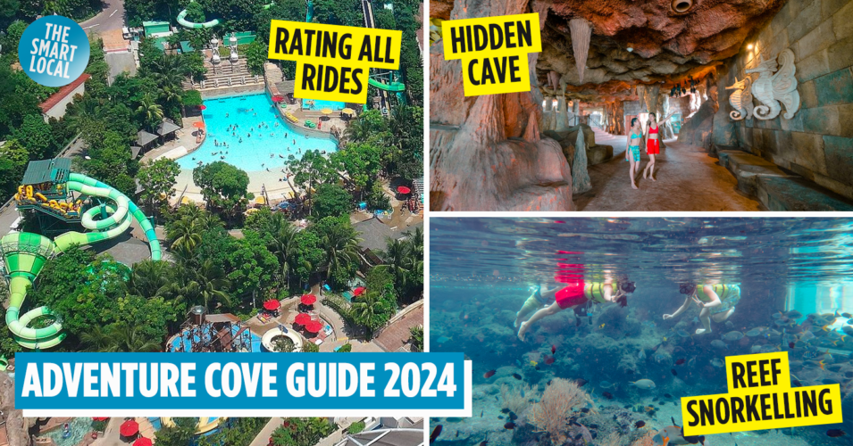 Adventure Cove Waterpark Guide: Cabanas & Water Slides [2024]