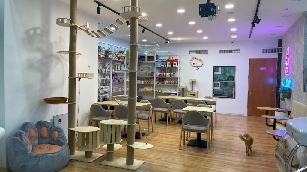 Chucky Cat Cafe: 2-Storey Cafe At Komtar JBCC