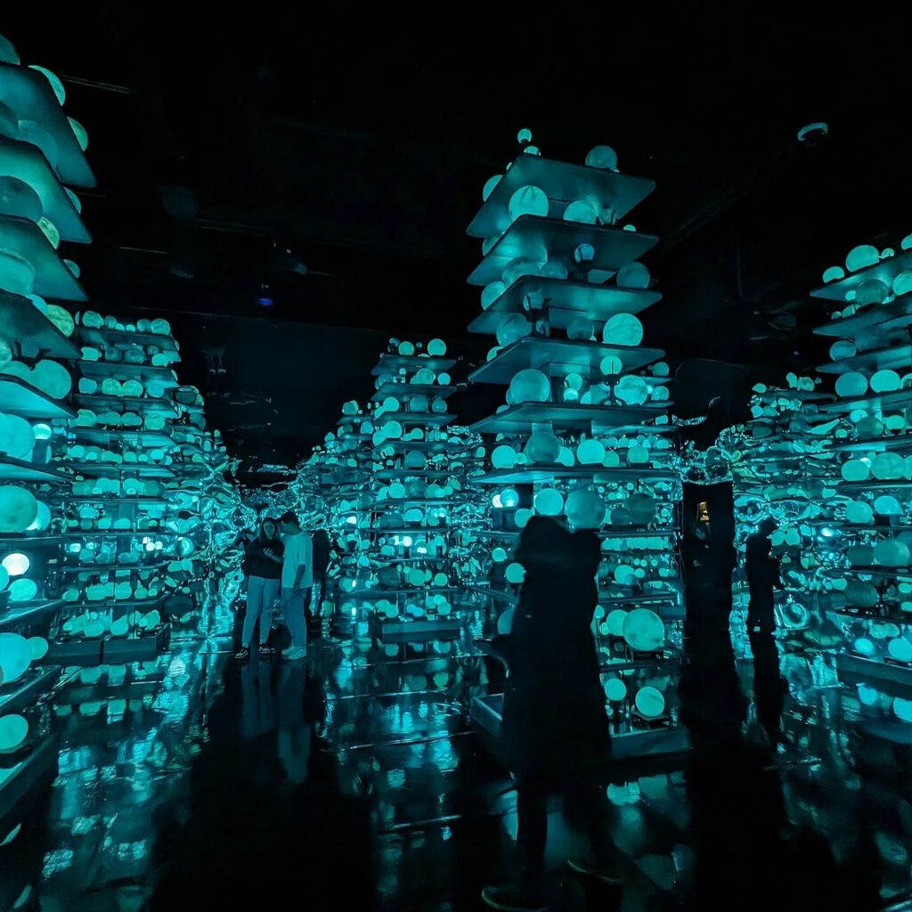 Harry Potter Visions Of Magic Is Premiering In RWS