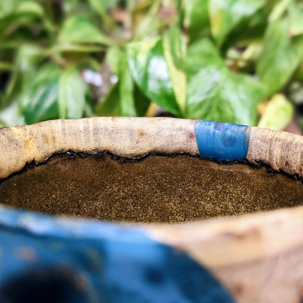 9 Kopitiam Secrets Shared By Hawker Centre Aunties & Uncles