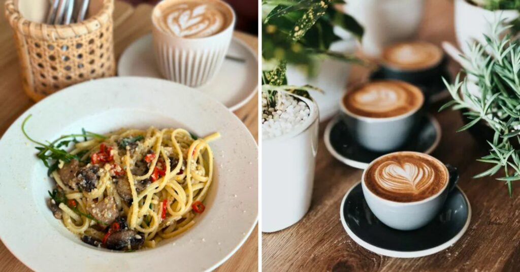 The Caffeine Experience at The Star Vista Has 17 Maine Coons