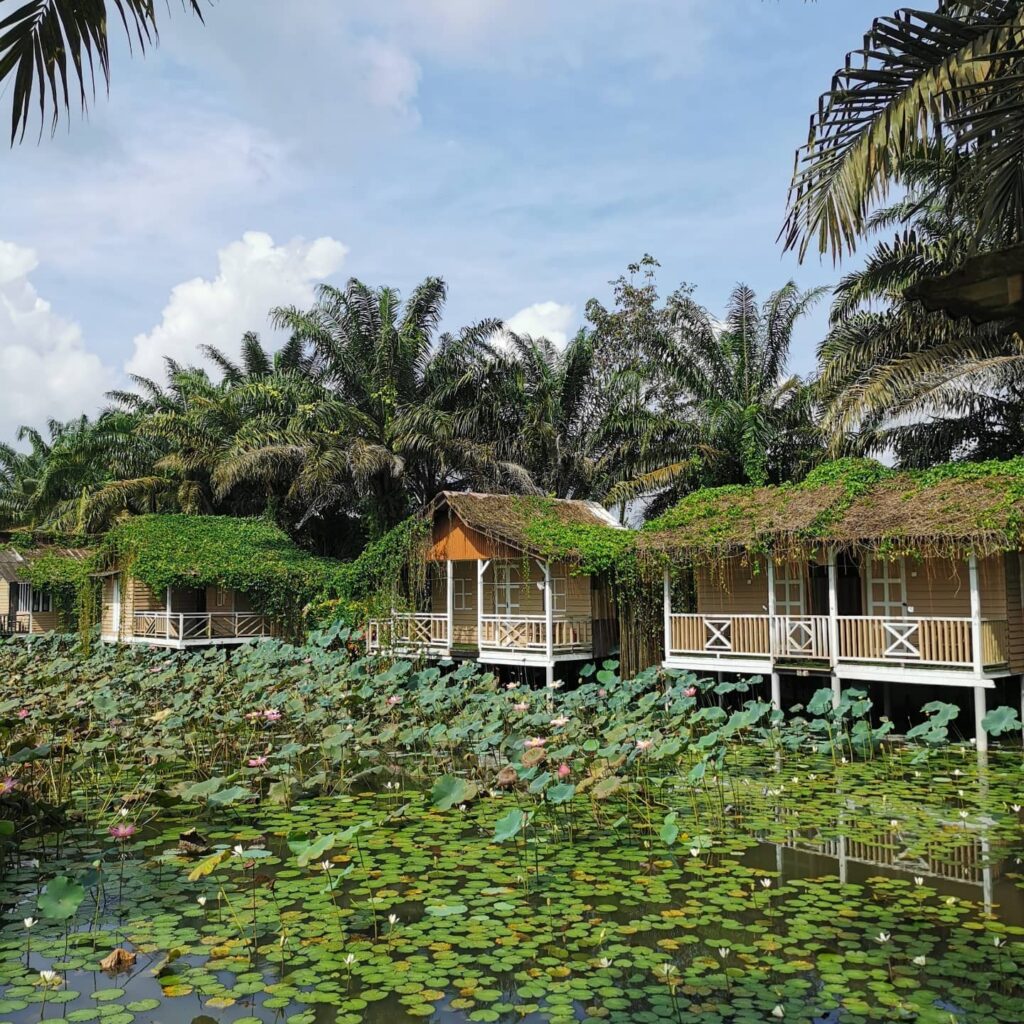 9 Relaxing Resorts In Johor Within 1.5 Hours Drive From SG