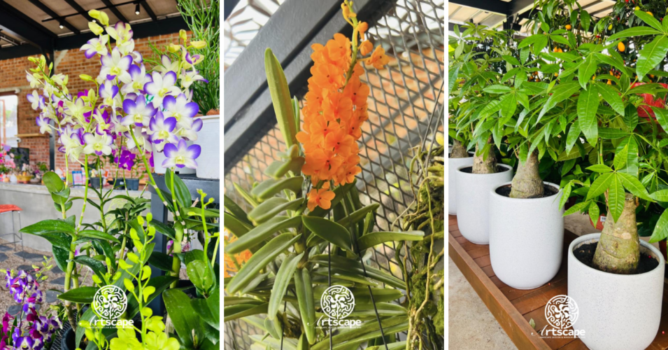 Artscape Landscape Is A New 2-Storey Glasshouse Plant Nursery