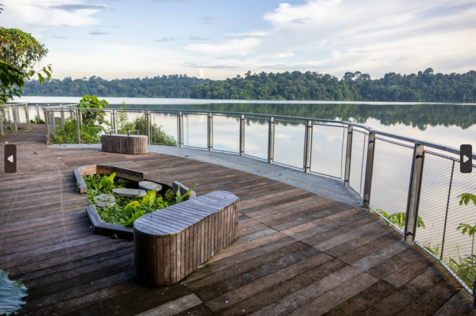 Mandai Wildlife Reserve Will Have A New Boardwalk & Rainforest Park