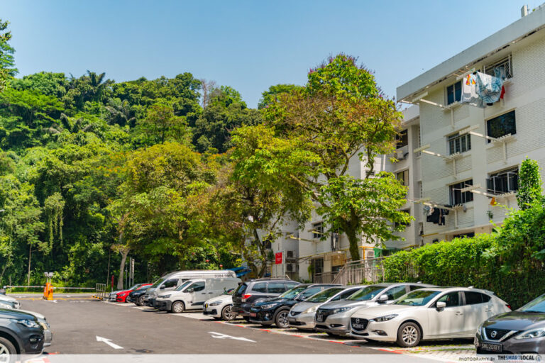 15 Things To Do In Bukit Purmei – Neighbourhood With Kampung Vibes