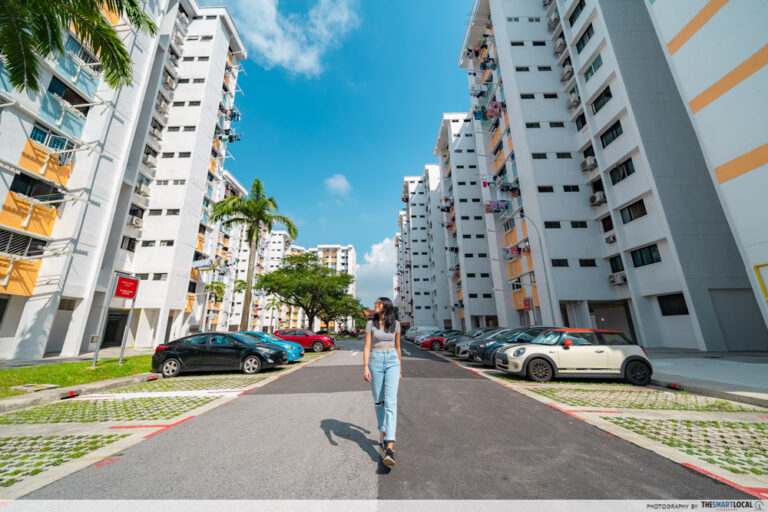 15 Things To Do In Bukit Purmei – Neighbourhood With Kampung Vibes