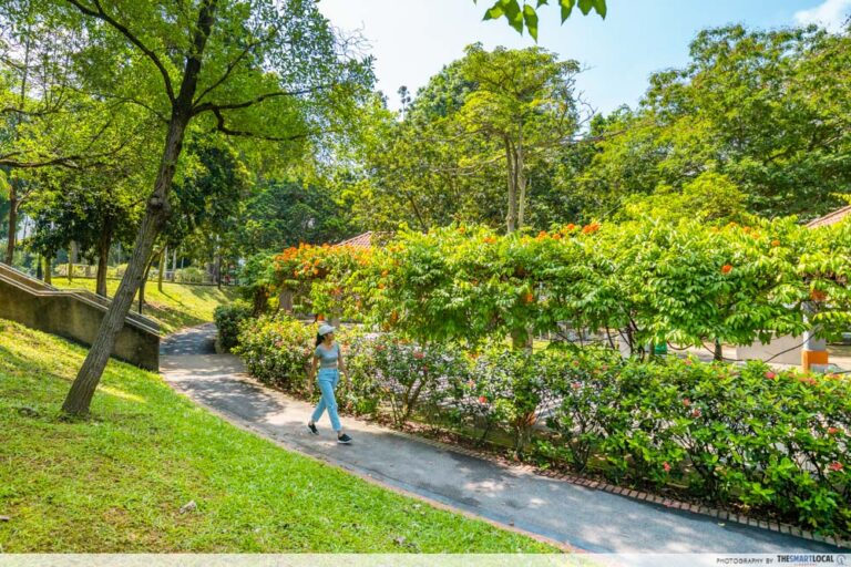 15 Things To Do In Bukit Purmei – Neighbourhood With Kampung Vibes