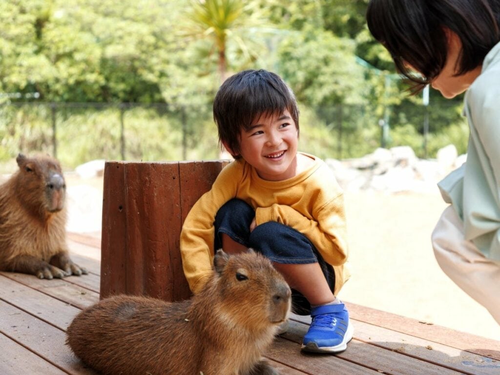 Izu Resort Villa - Stay With Free-Roaming Capybaras In Japan