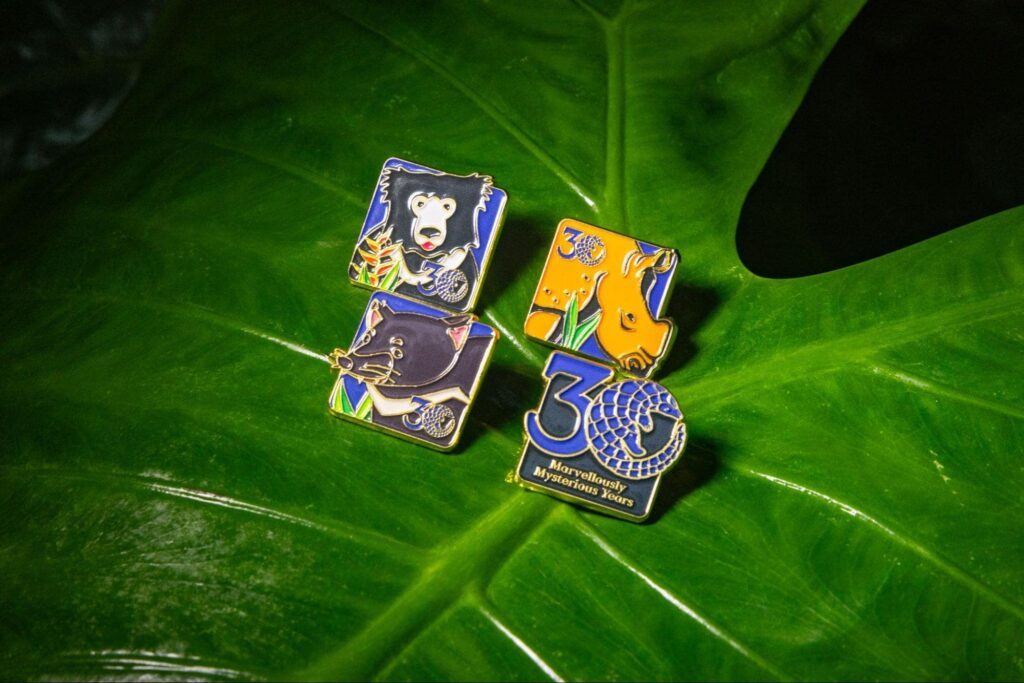 Night Safari Then Vs Now: Iconic Trams, Trails & Thrilling Shows