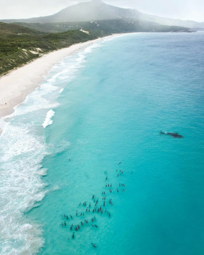 9 Most Beautiful Winter Destinations In Australia