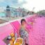 Blue Fire Beach Club In Batam Has Pink Sand & A Swim-Up Bar