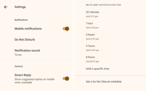 9 Best Google Chat Hacks & Easter Eggs To Use (2024 Guide)