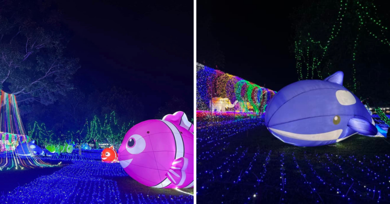 Luna Lights Wonderland: Carnival With Light Installations In JB