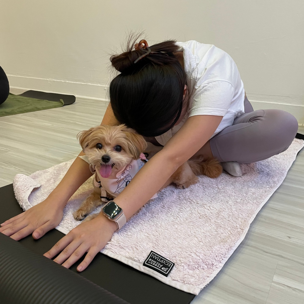 Puppy Yoga & Cat Yoga Classes In SIngapore