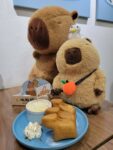 Capybara Knight - Cute Animal Cafe In Taiwan To Feed Capybaras