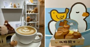 Capybara Knight - Cute Animal Cafe In Taiwan To Feed Capybaras