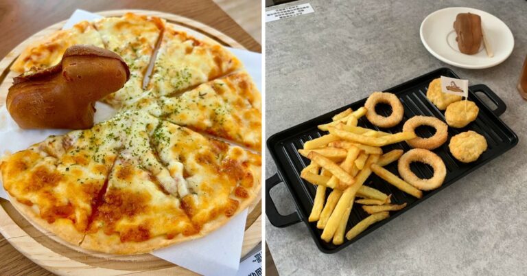 Capybara Knight - Cute Animal Cafe In Taiwan To Feed Capybaras