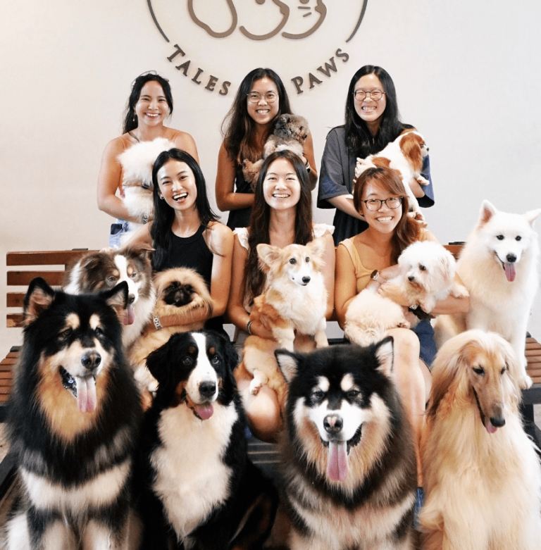 10 Dog Cafes & Cat Cafes In JB To Visit (2025)