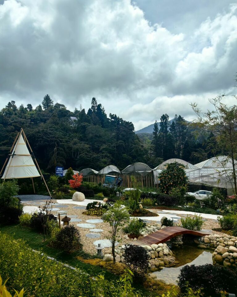 Zen By Stellar - Japan-Themed Glamping In Cameron Highlands