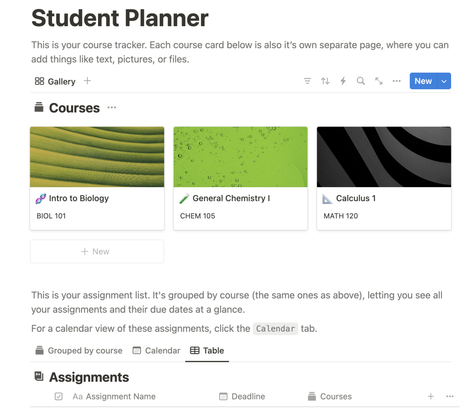 12 Free Software And Apps For Uni Students To Download (2024)