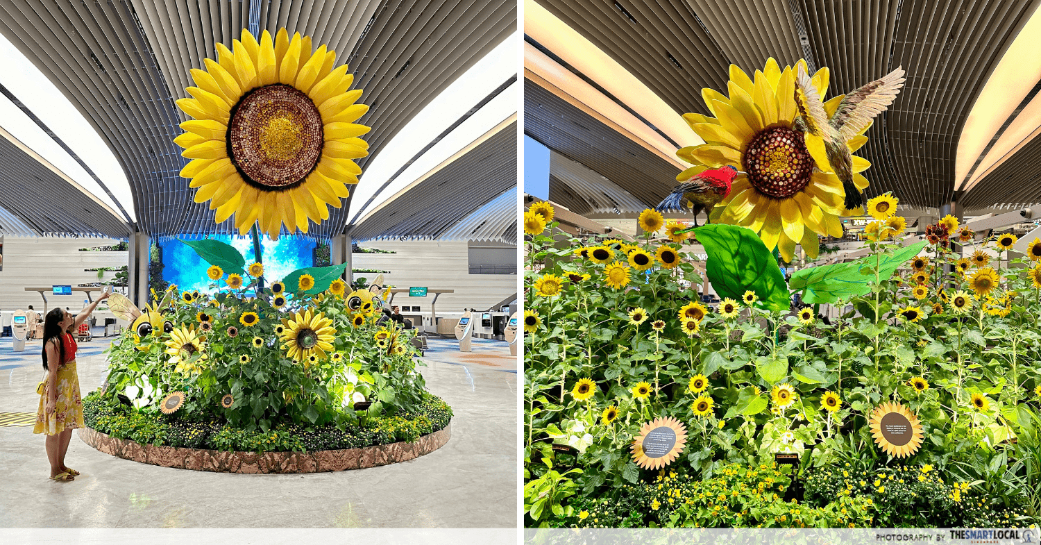 A Sunflower Sojourn - Changi Airport's Newest Flower Display