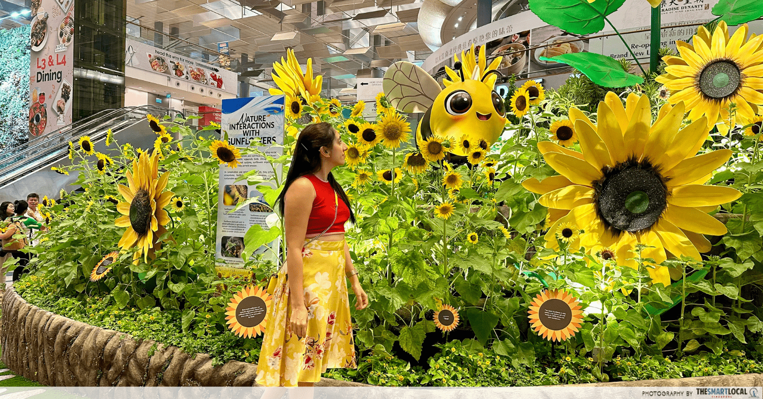 A Sunflower Sojourn - Changi Airport's Newest Flower Display