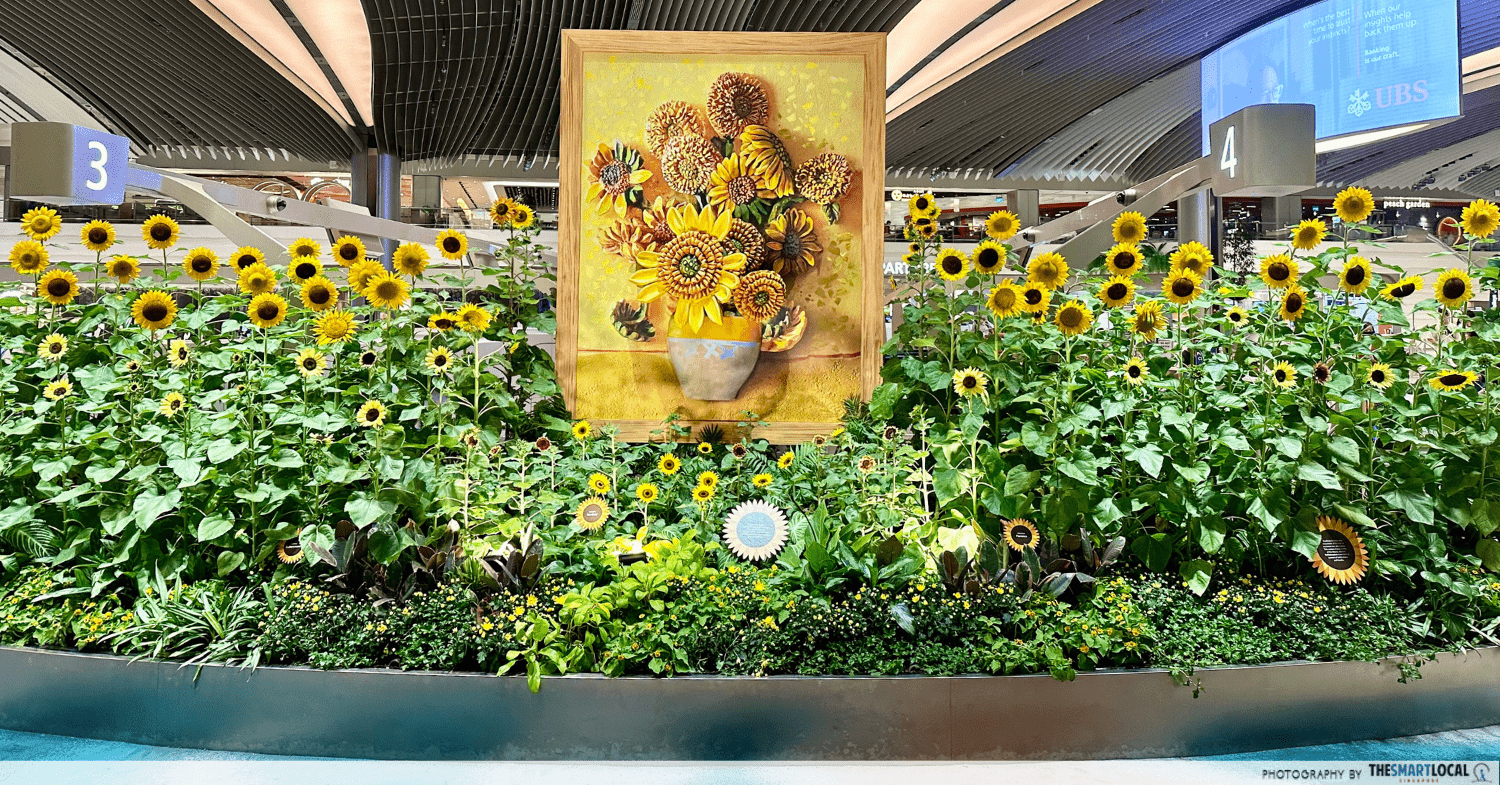 A Sunflower Sojourn - Changi Airport's Newest Flower Display