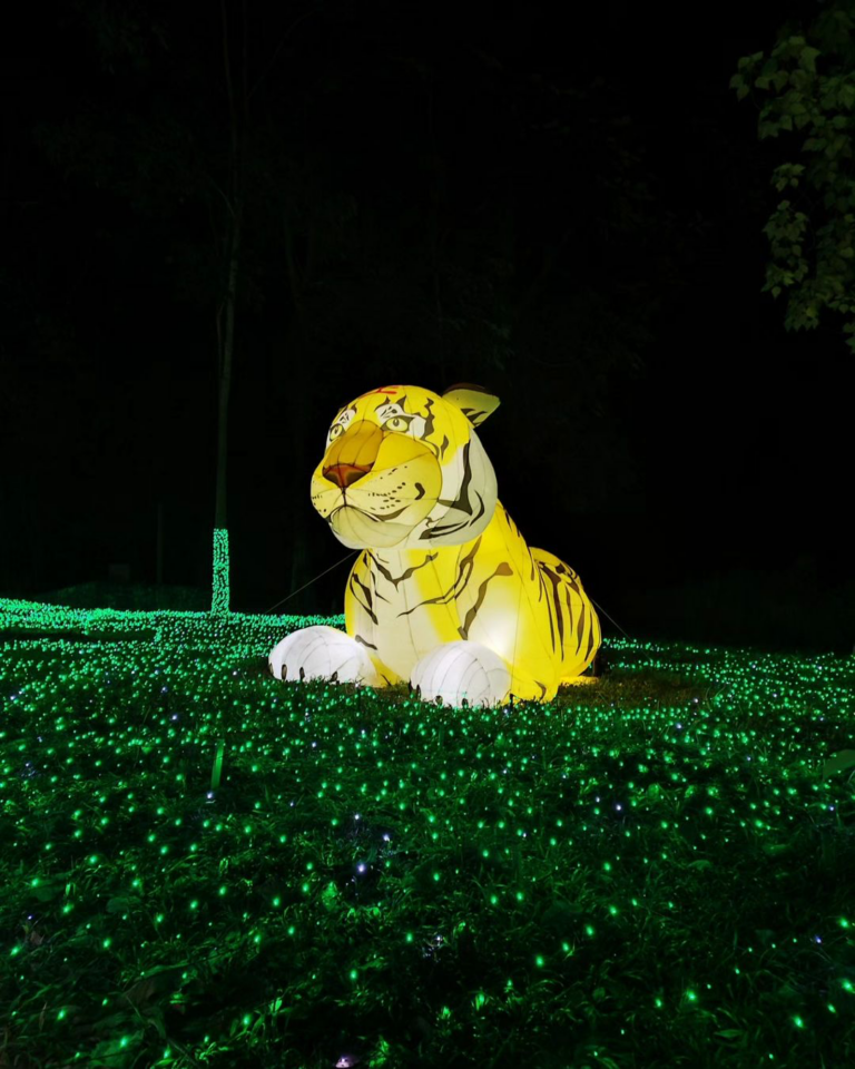 Luna Lights Wonderland Penang - Light Displays & Food Trucks