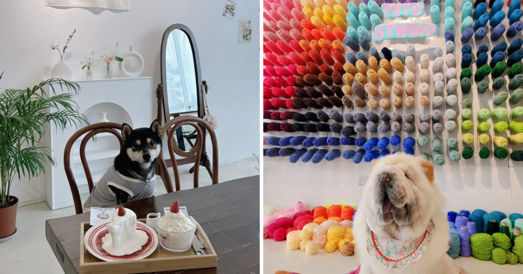 Oh My Ice & TuTu Studio - 2-In-1 Dessert Cafe & Tufting In JB