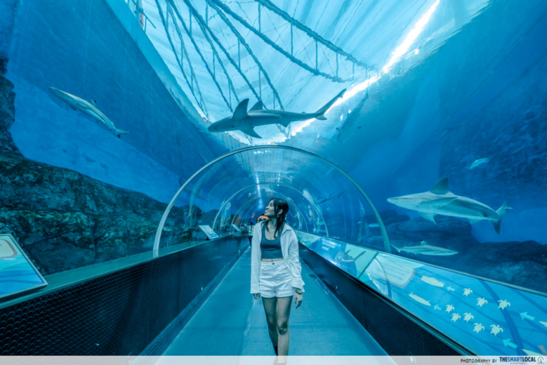 Ultimate Guide To Sentosa - 23 Things To Do On The Island (2024)