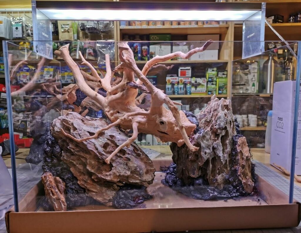 Aquarium Shops In Singapore For Fish-Lovers (Updated 2024)