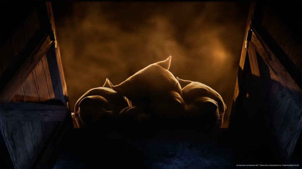 Harry Potter Visions Of Magic Is Premiering At RWS This Nov