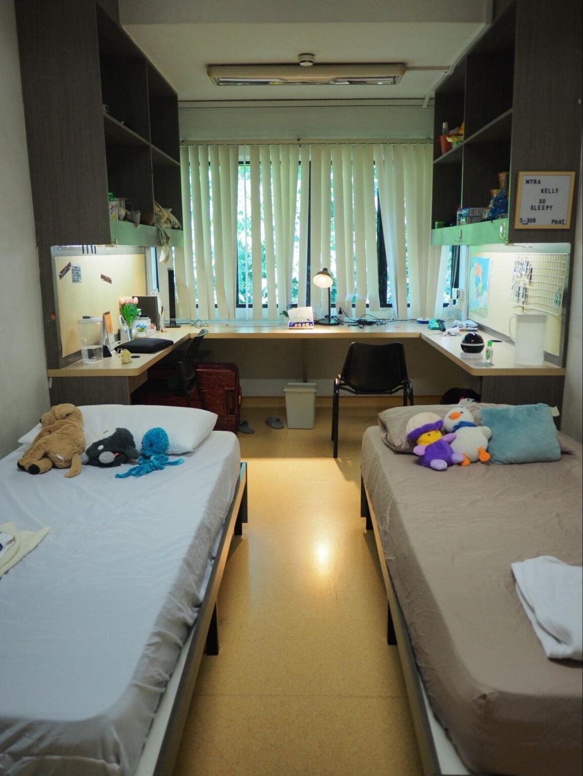 Guide To University Halls At NUS (2024)