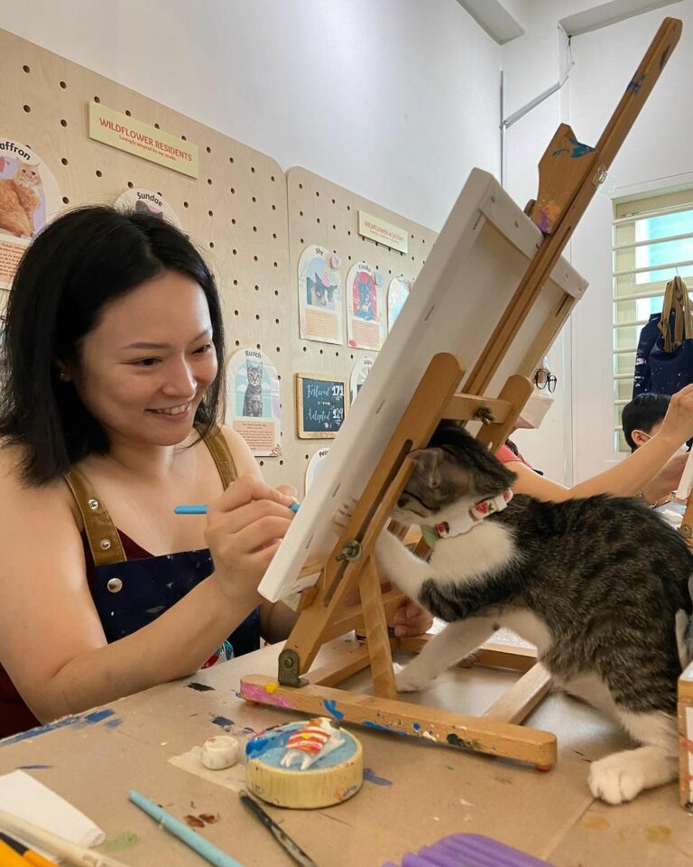 Wildflower Studio - Art Jamming & Cat Cafe 2-In-1