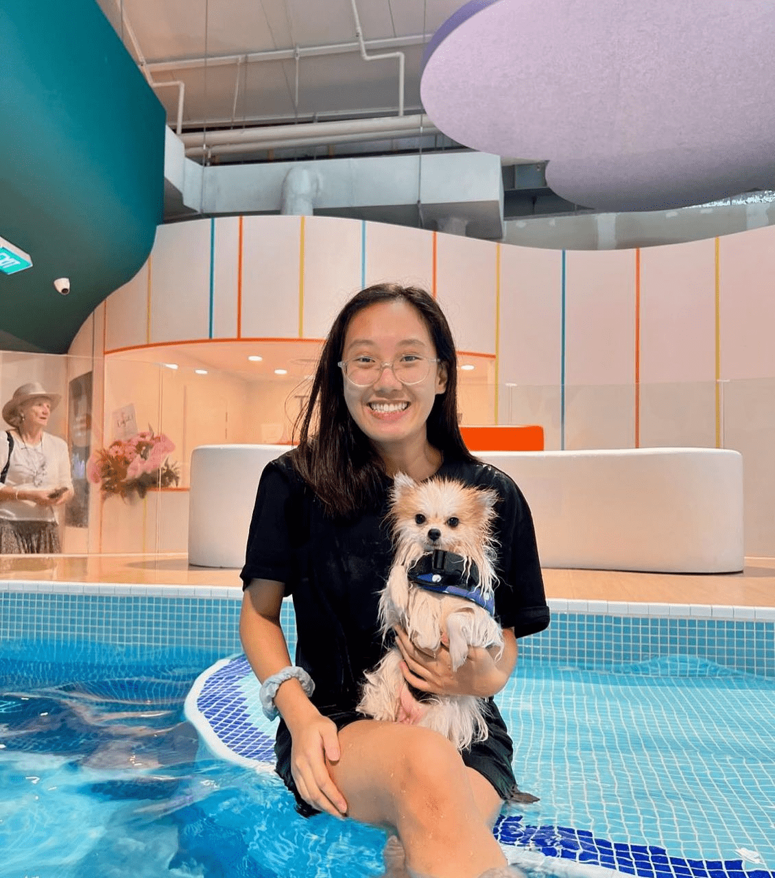Fort Canine Swimming Club - Indoor Dog Pool In Clarke Quay