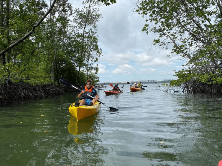 Best Beaches & Islands To Go Kayaking In Singapore (2024)