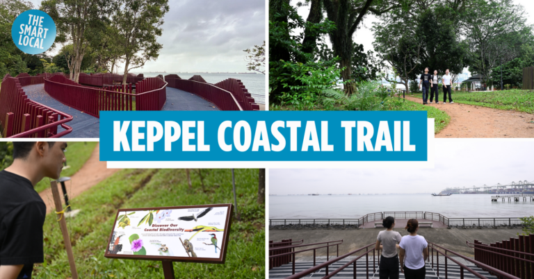 Keppel Coastal Trail: New Boardwalk At Labrador Nature Park